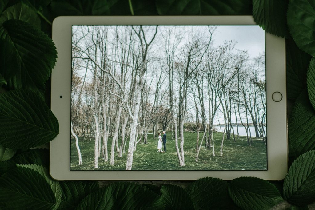 FaceTime Wedding Photoshoot During Covid-19 - New Jersey and New York ...